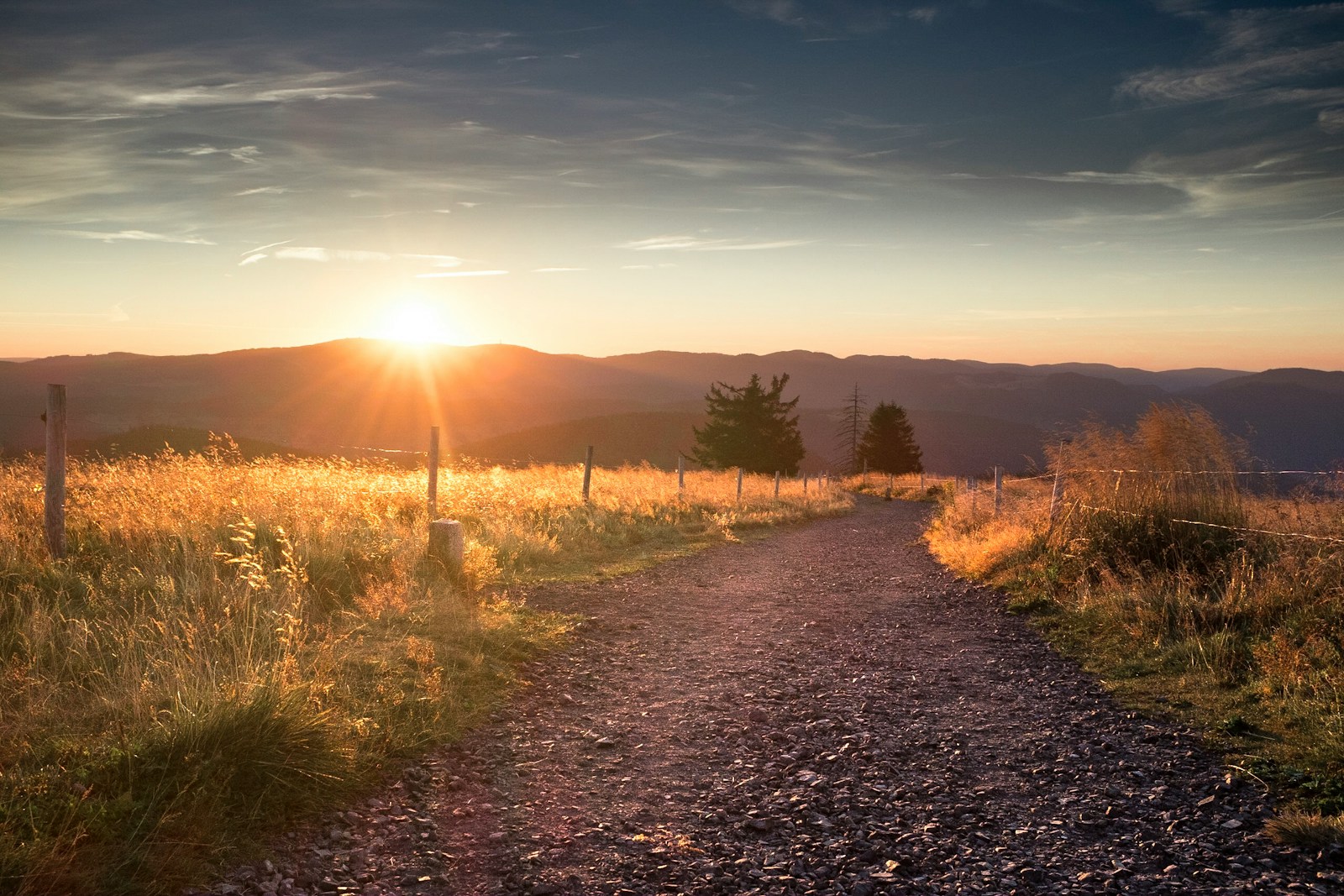 Formal vs Informal Learning: Which Path Should You Take?