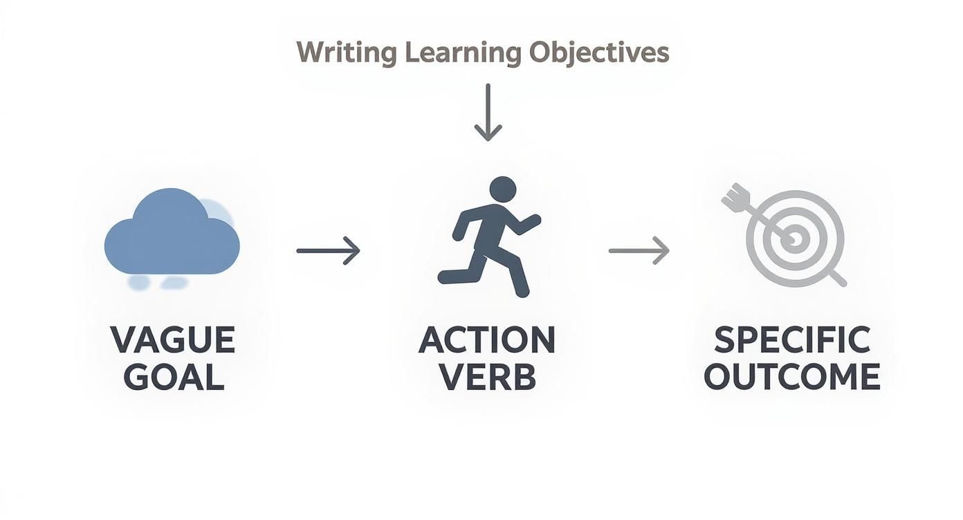 How Do You Write a Curriculum: A Practical Guide